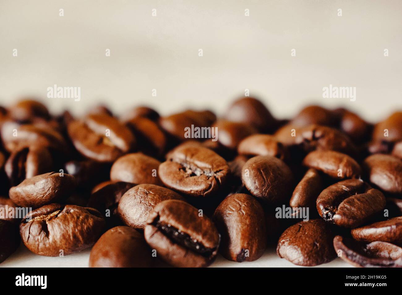 Artistic coffee beens arrangement on minimalistic background Stock ...