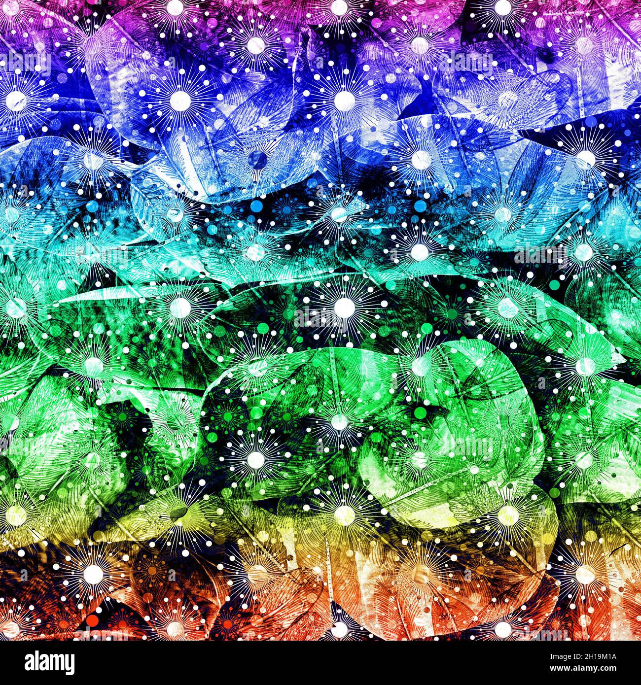 Fashion fabric print patterns hi-res stock photography and images - Alamy