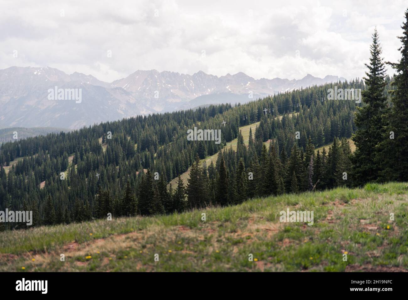Vail Mountain during summer Stock Photo - Alamy