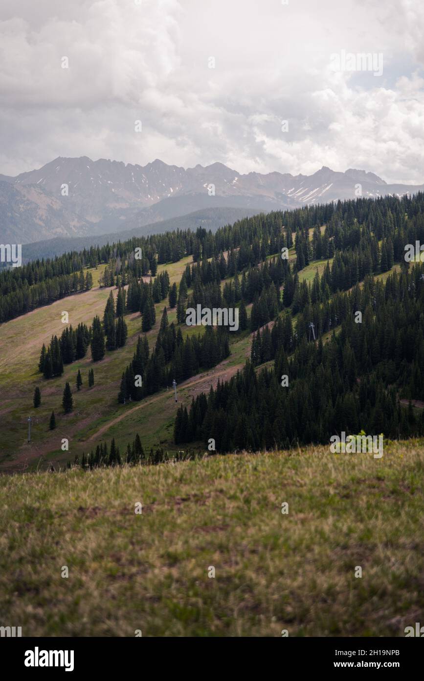 Vail Mountain during summer Stock Photo - Alamy