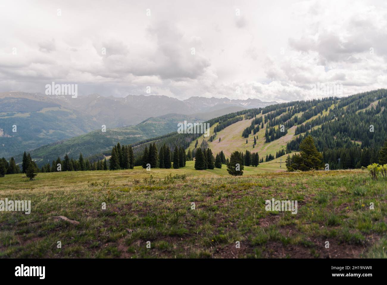 Vail Mountain during summer Stock Photo - Alamy