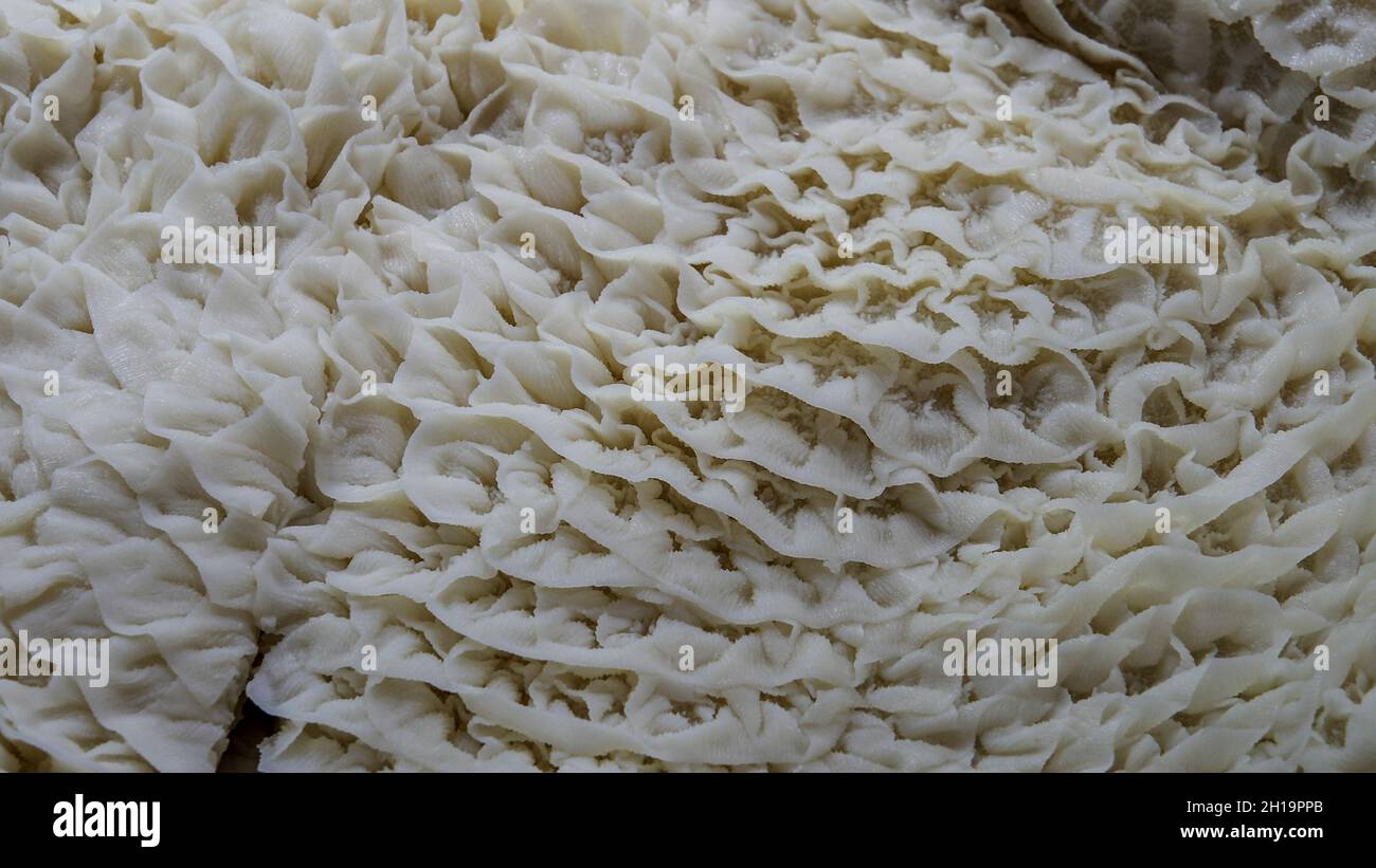 A closeup of beef tripe; edible lining from the stomachs of various ...