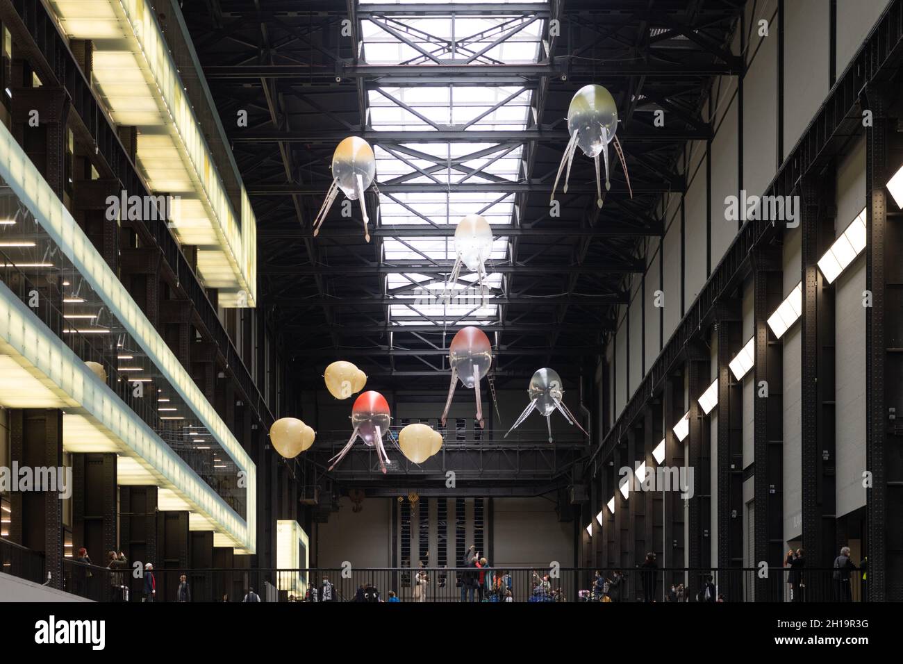 Hyundai Commission Anicka Yi at Tate Modern turbine hall, Bankside ...