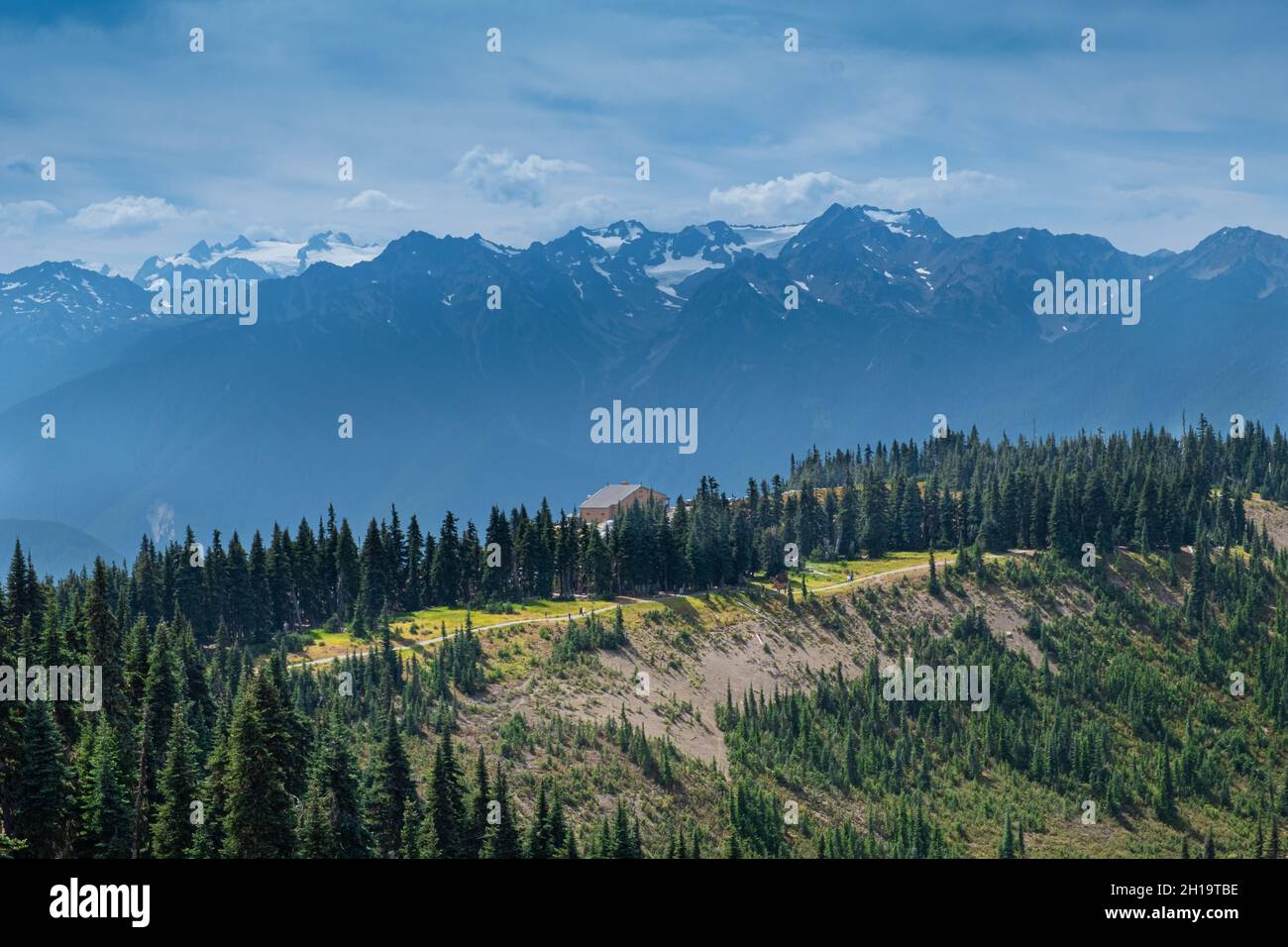 Hurricane ridge olympic national park hi-res stock photography and ...