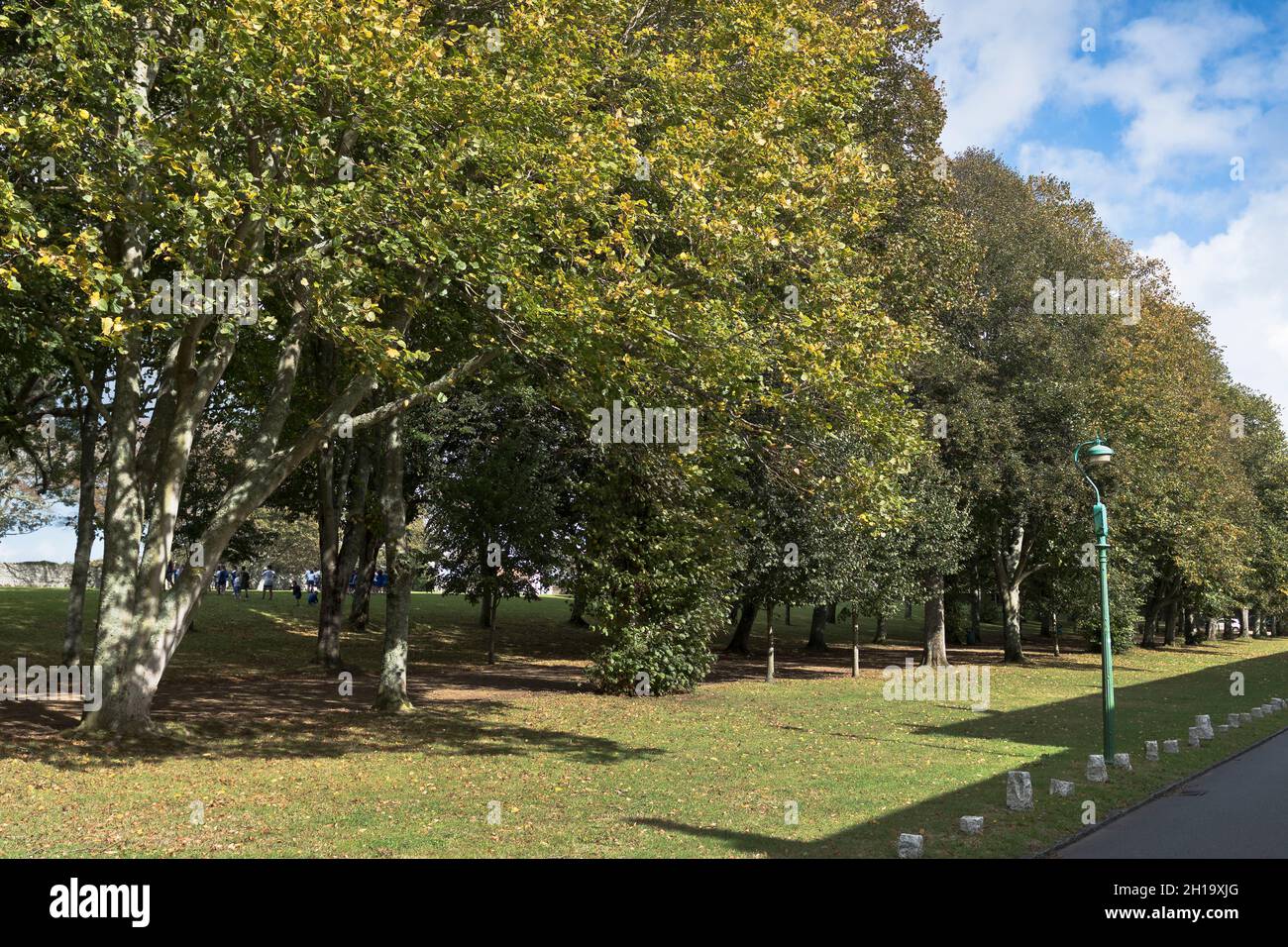Cambridge park hi-res stock photography and images - Alamy