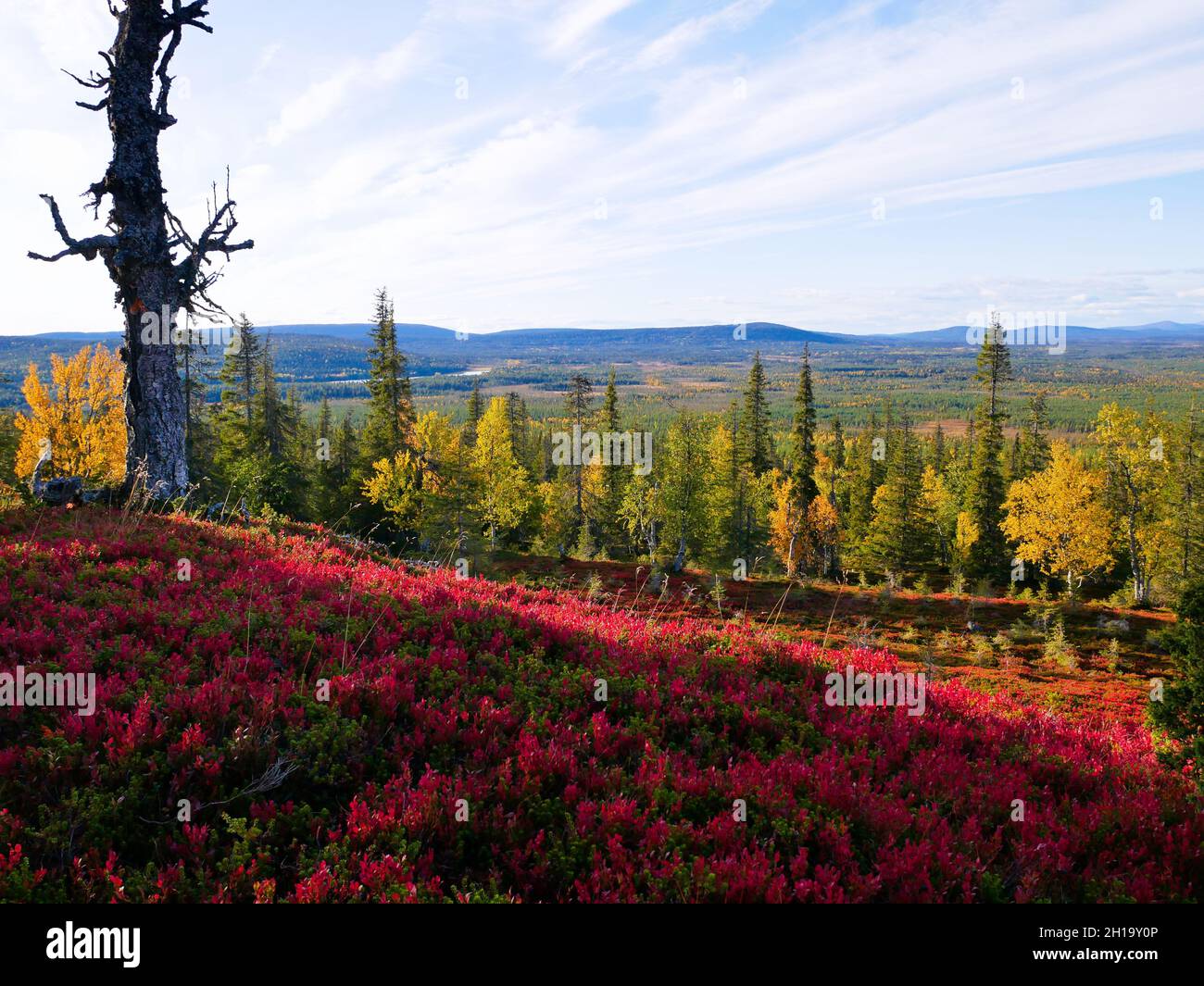 Tundra in fall colours hi-res stock photography and images - Alamy