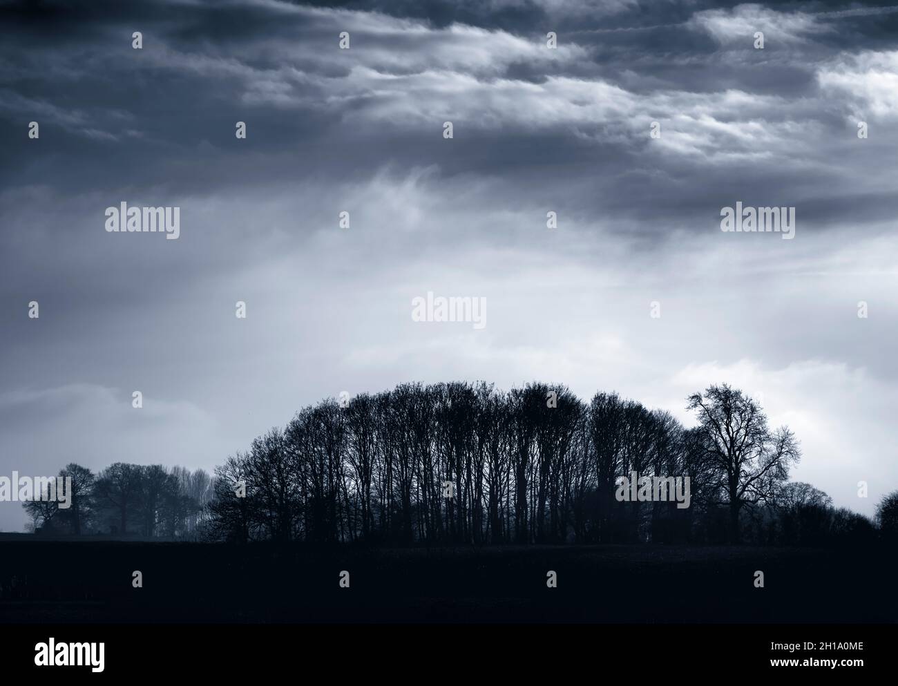 Scenic treeline hi-res stock photography and images - Alamy