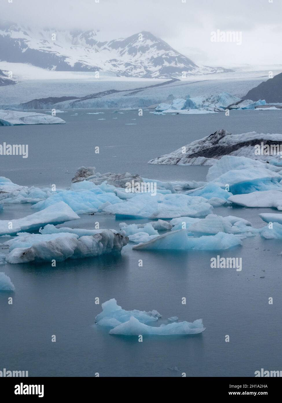 Bear Glacier Lagoon, Kenai Fjords National Park, near Seward, Alaska ...