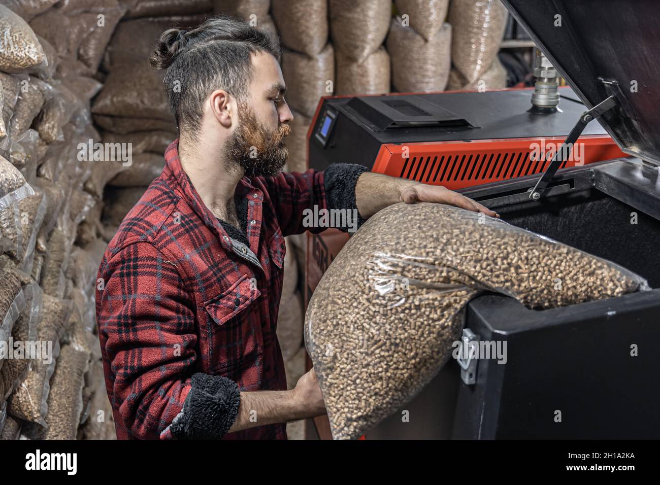 The man loads the pellets in the solid fuel boiler, working with ...