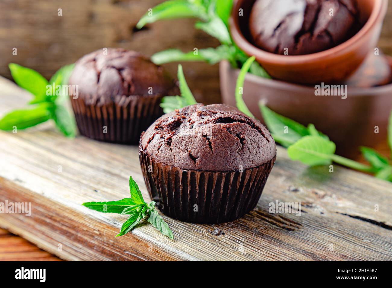 Chocolate cupcake muffin with mint leaves in rustic style. Fresh baked ...