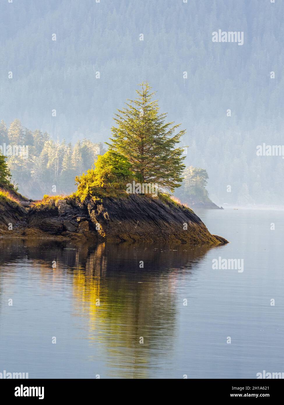 Windham Bay, Tongass National Forest, Alaska Stock Photo - Alamy