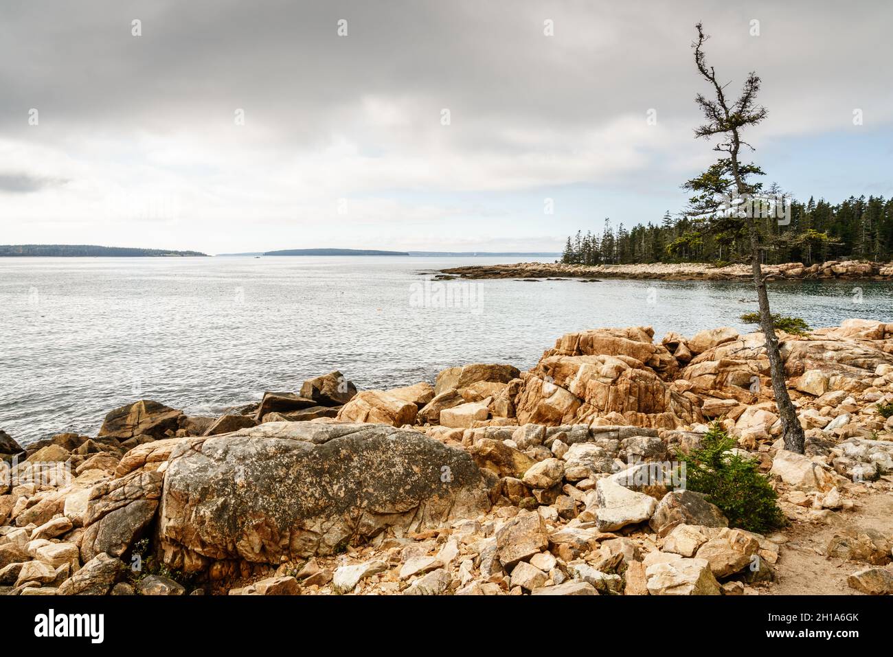Acadia rocks hi-res stock photography and images - Alamy