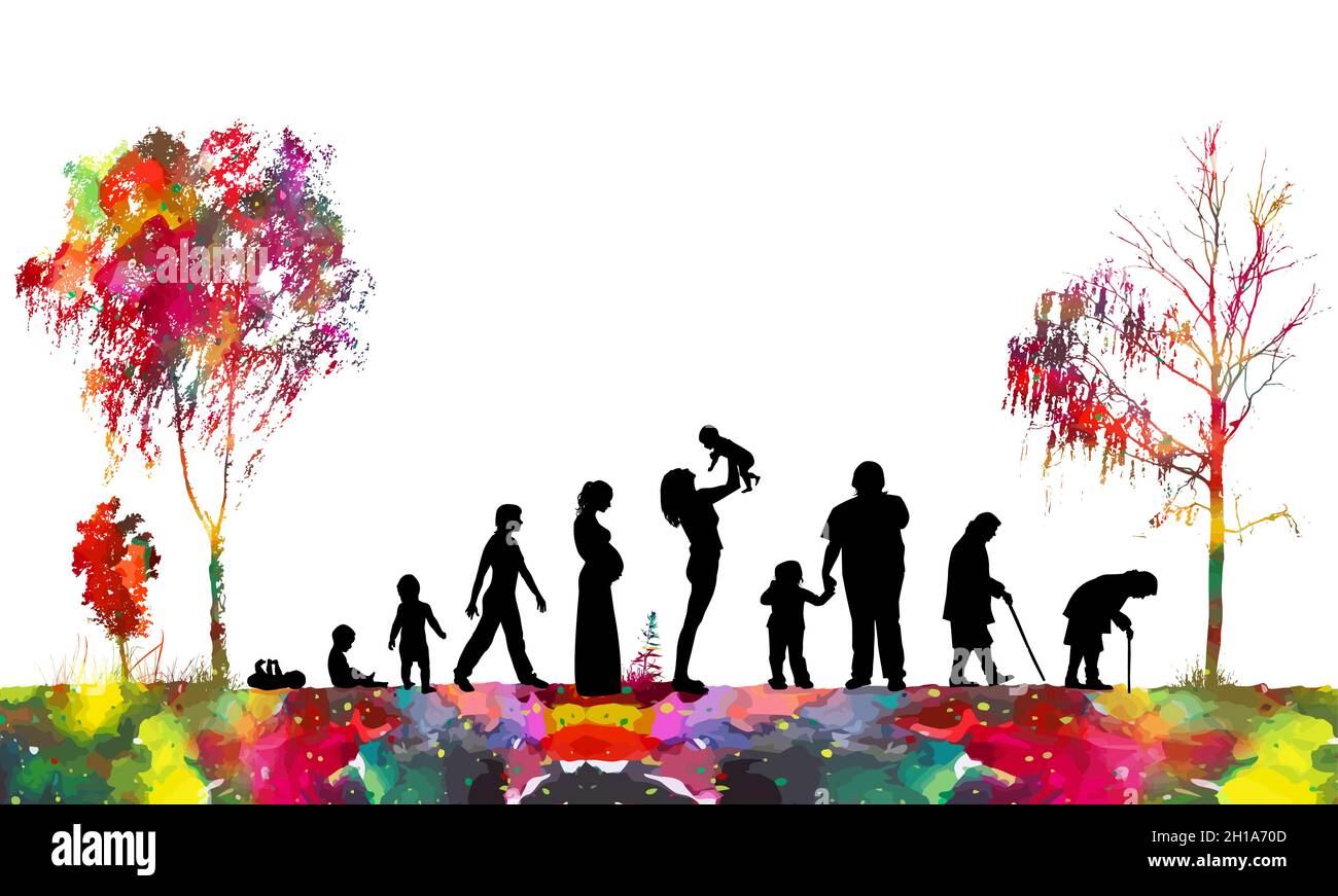 Life stages baby to adult hi-res stock photography and images - Alamy