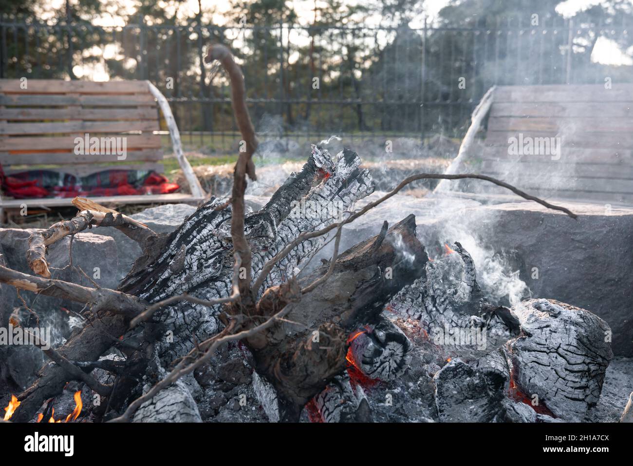 Close-up of large logs of a tree in a dying fire Stock Photo - Alamy