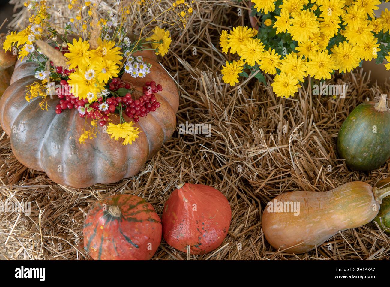 Autumn composition with pumpkins in a rustic style Stock Photo - Alamy