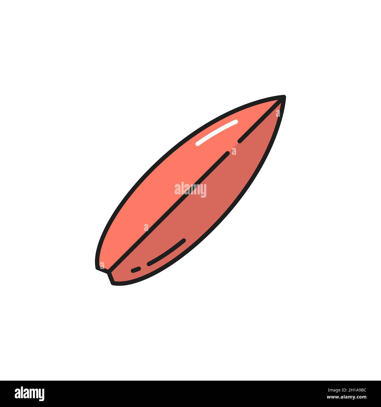 Wooden Surfboard Vector