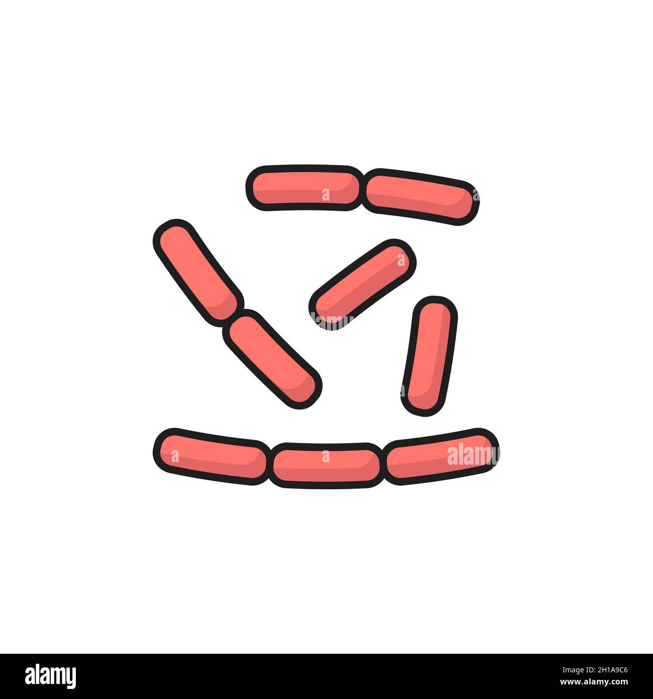 Lactobacillus microorganisms virus bacteria, probiotics isolated color ...