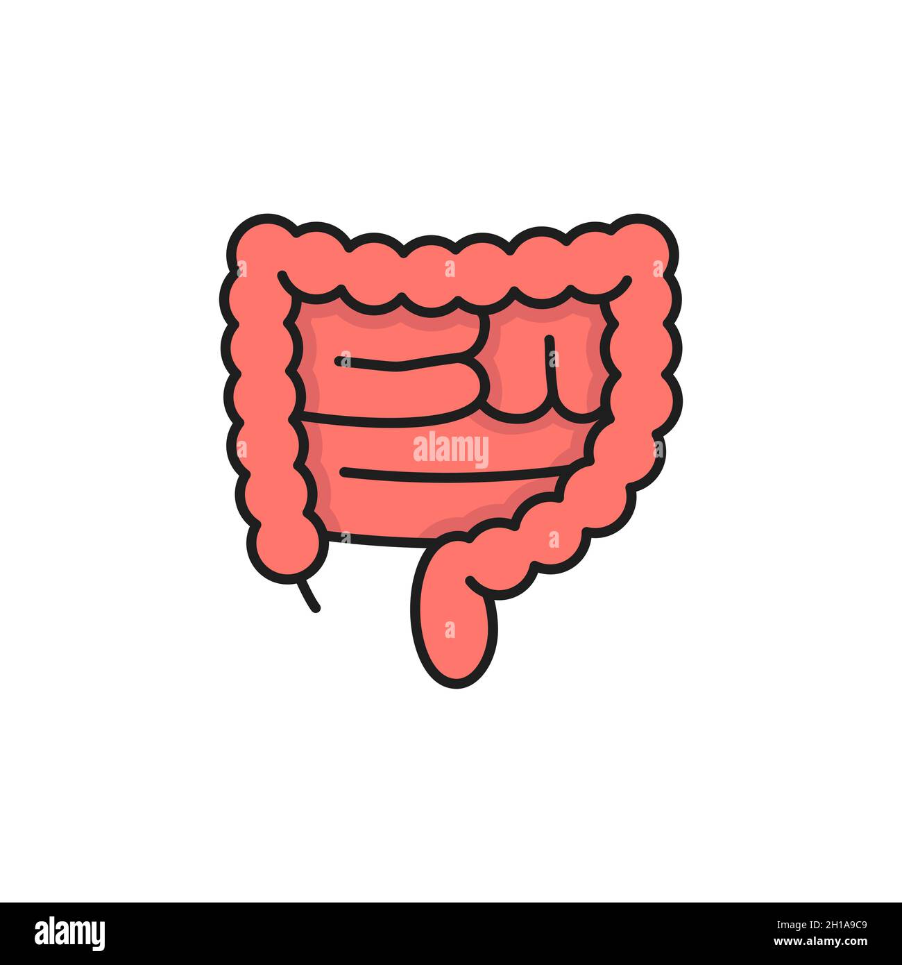 Human large intestines isolated color line icon. Vector anatomy ...