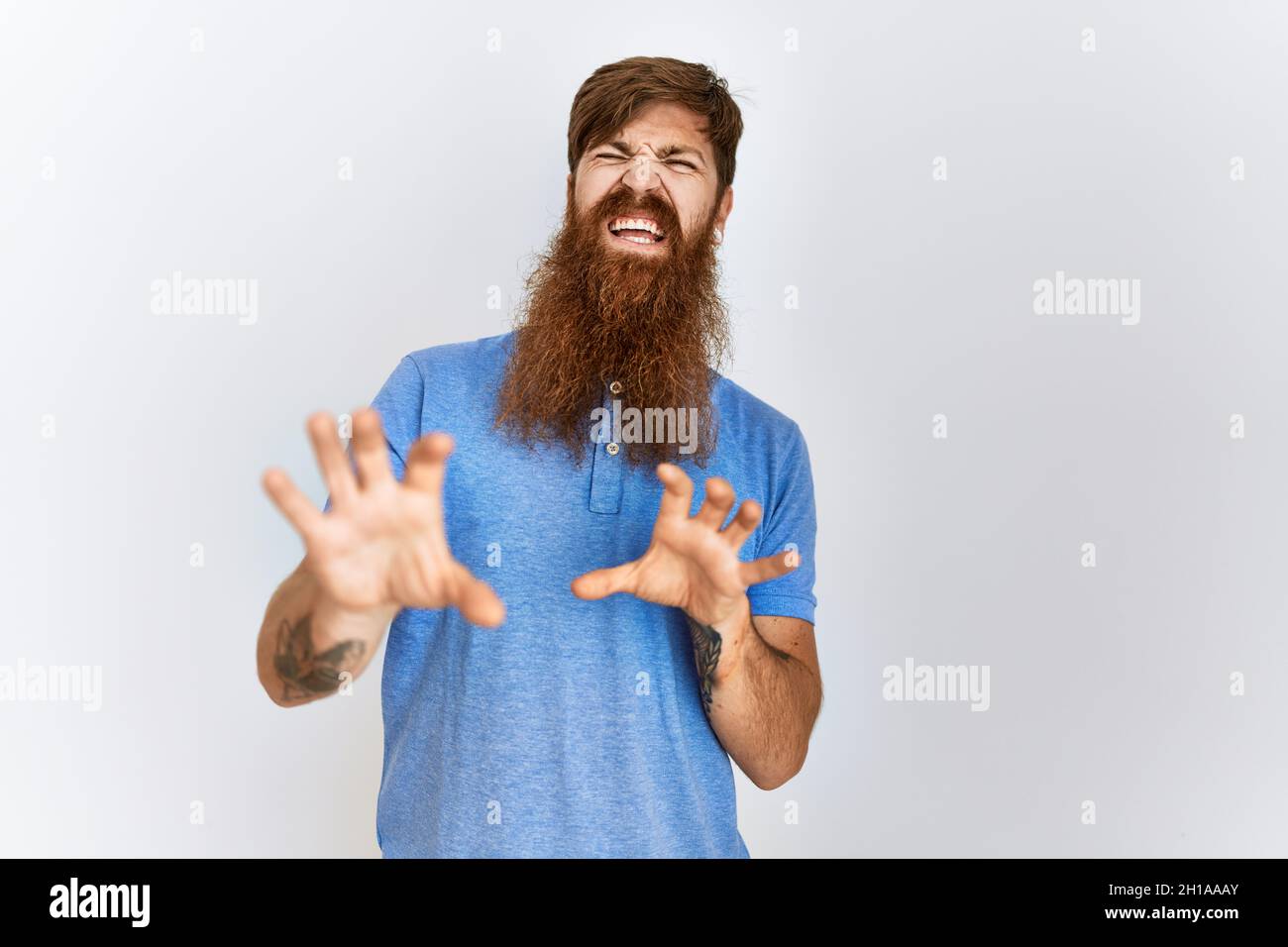 Caucasian man with long bear standing over isolated background ...