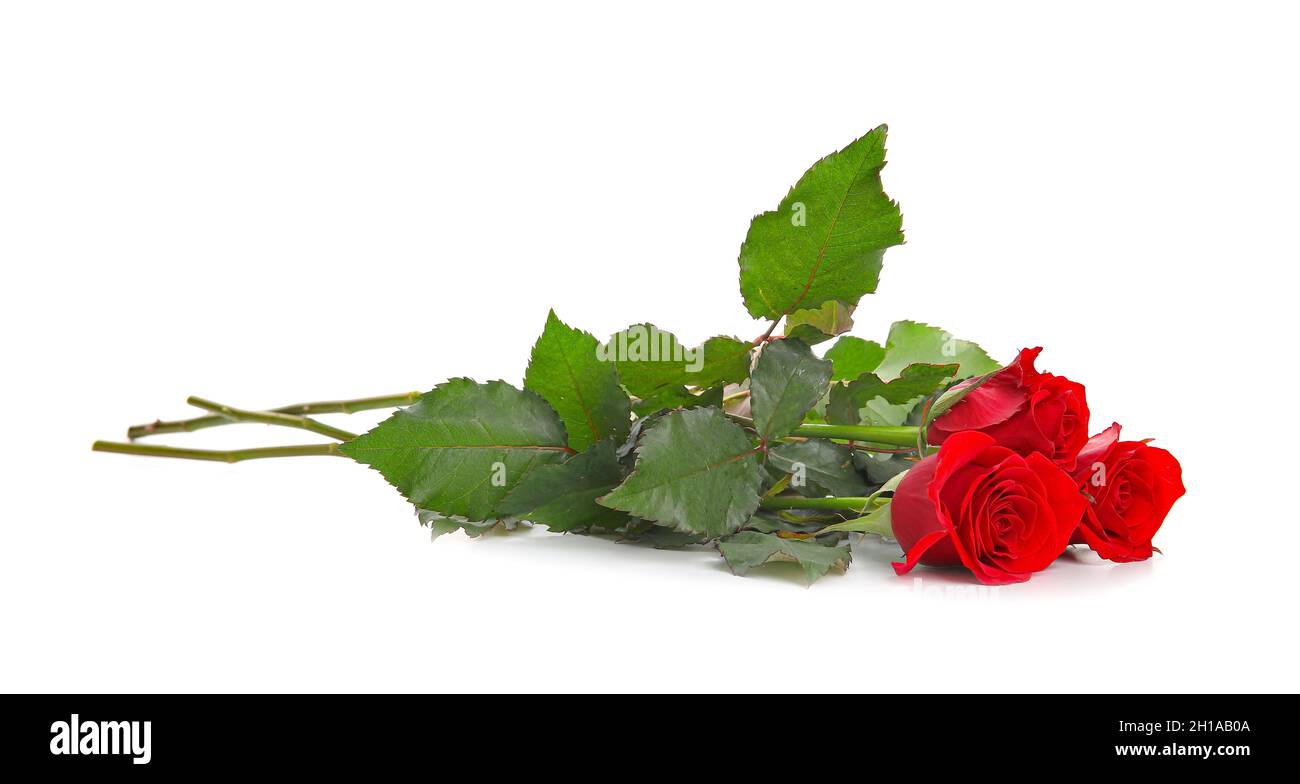 Beautiful red roses isolated on white background Stock Photo - Alamy