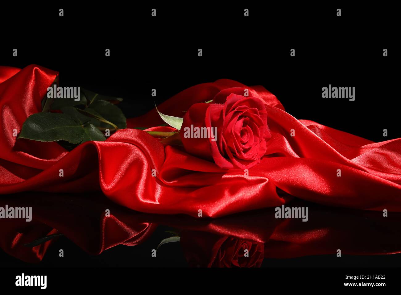 Beautiful red rose and silk on dark background Stock Photo - Alamy