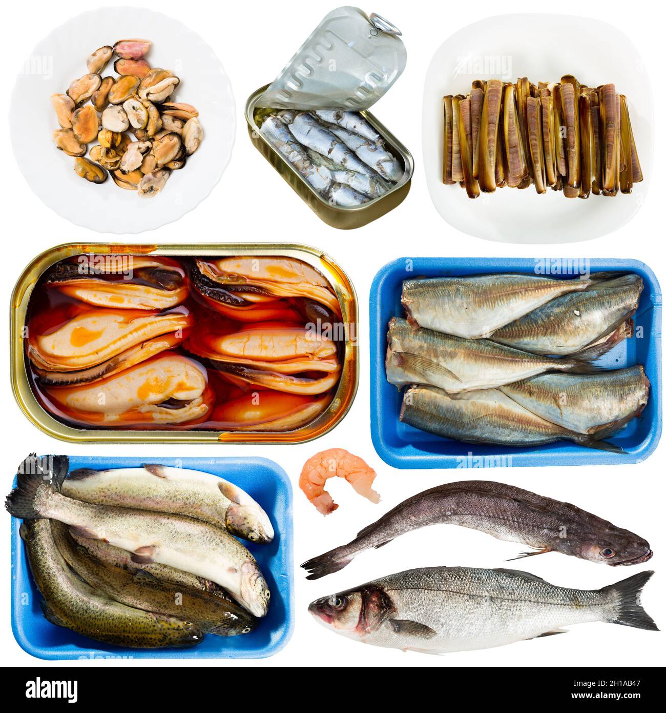 Set of assorted fish and seafood. Raw and semi-finished products Stock ...