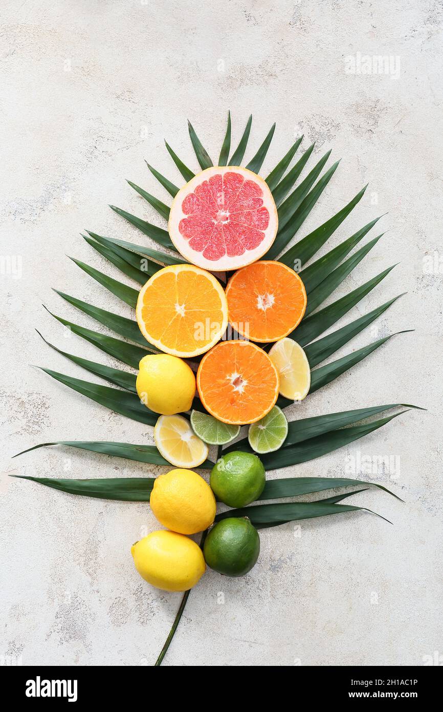 Composition with different citrus fruits and palm leaf on light ...