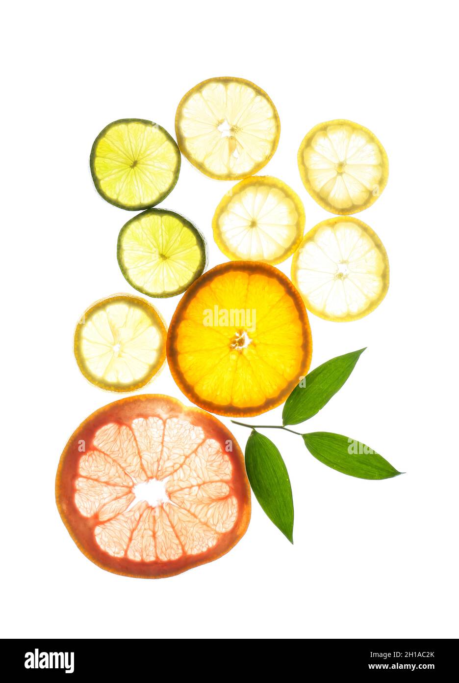 Composition with slices of citrus fruits on white background Stock ...