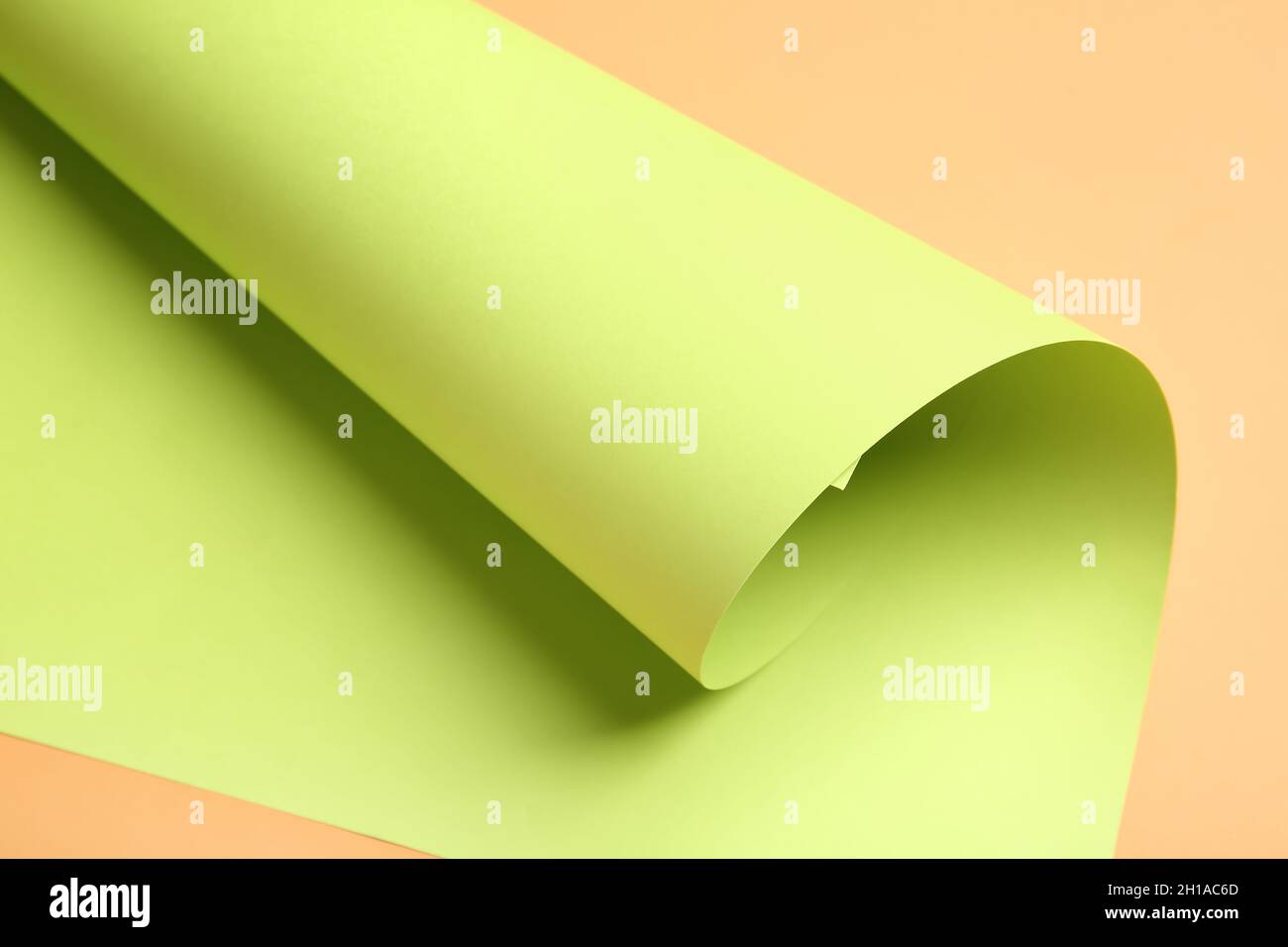 Rolled paper sheet on color background Stock Photo - Alamy