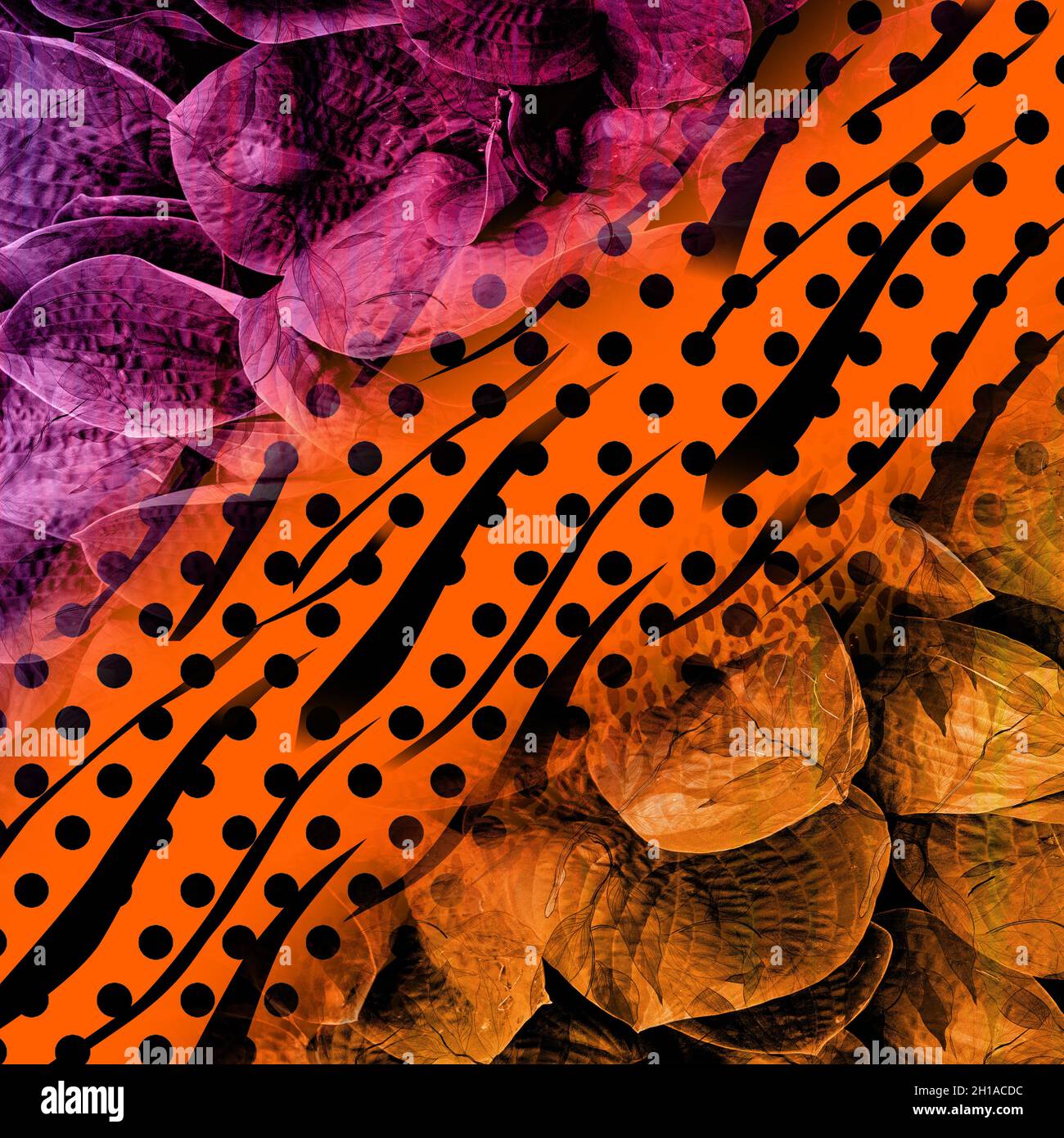 abstract beautiful colorful combination pattern Stock Photo - Alamy