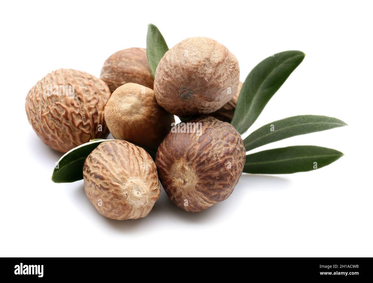 Heap of shea nuts on white background Stock Photo - Alamy