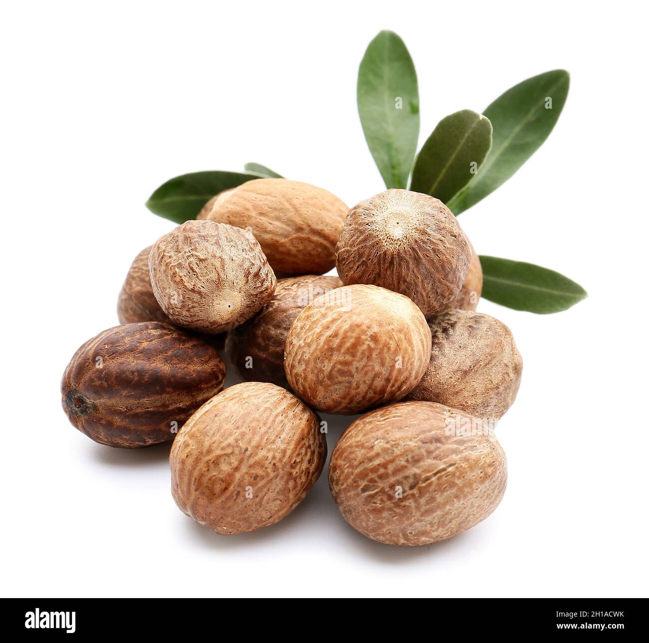 Heap of shea nuts on white background Stock Photo - Alamy