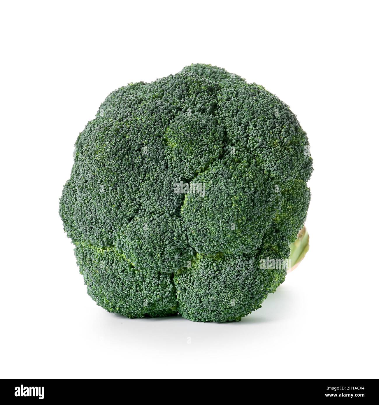 Healthy broccoli cabbage on white background Stock Photo - Alamy