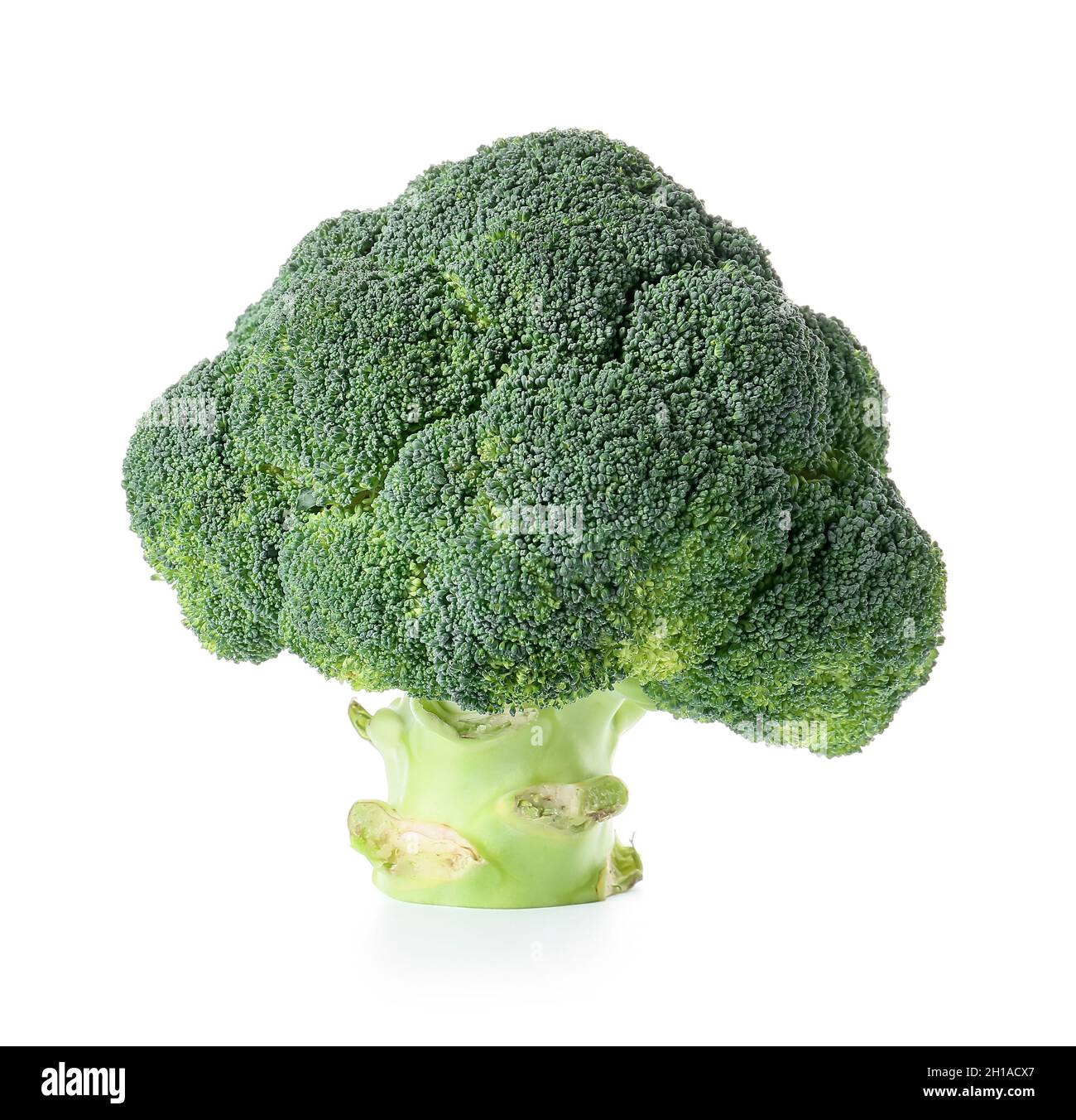 Healthy broccoli cabbage on white background Stock Photo - Alamy