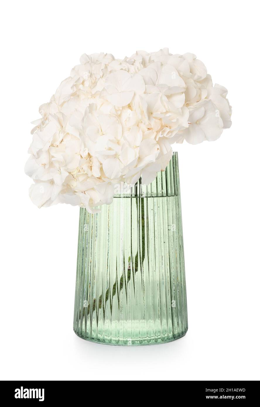 Birthday bouquet hydrangea in Cut Out Stock Images & Pictures - Alamy