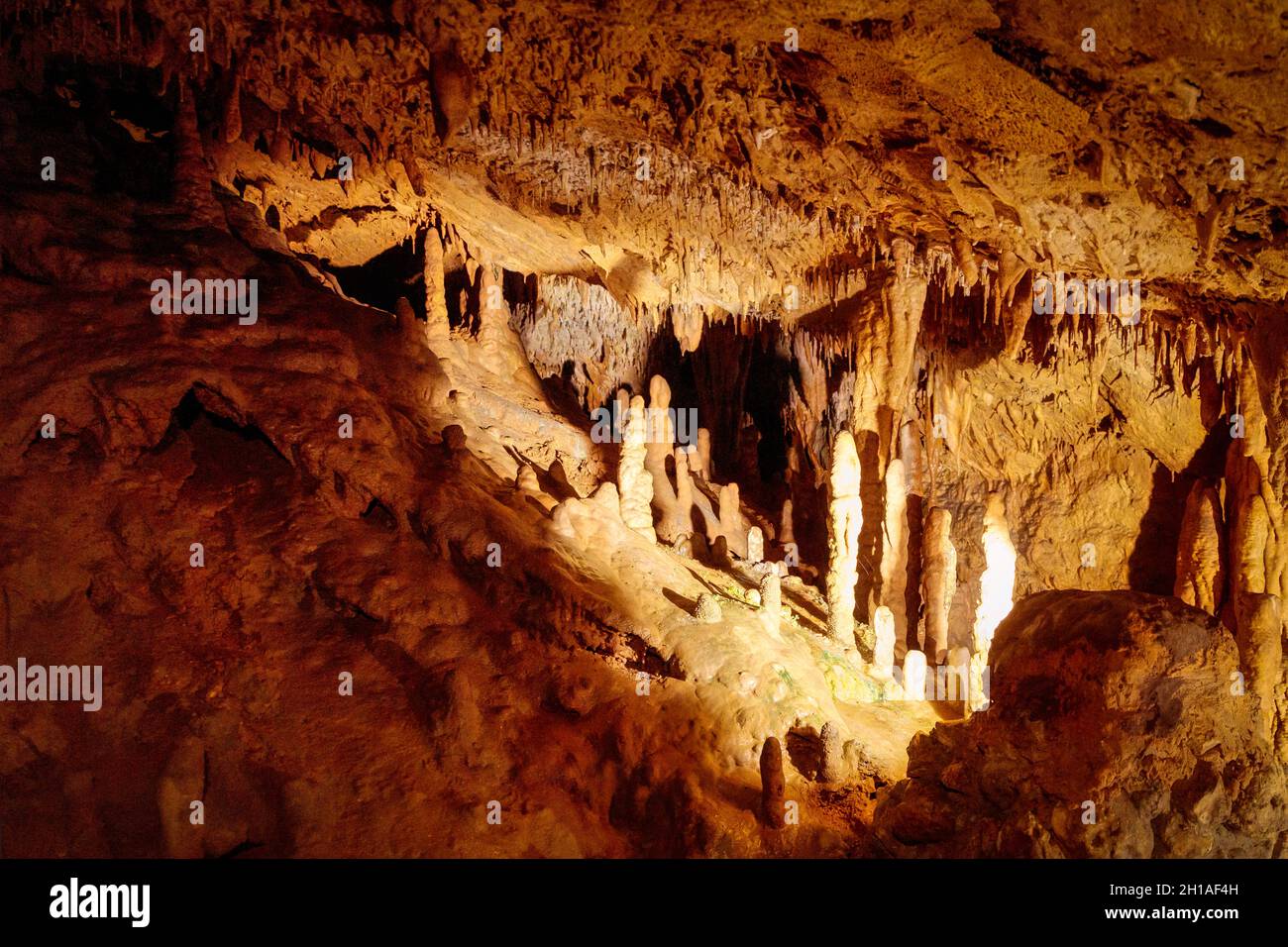 Florida limestone cavern hi-res stock photography and images - Alamy