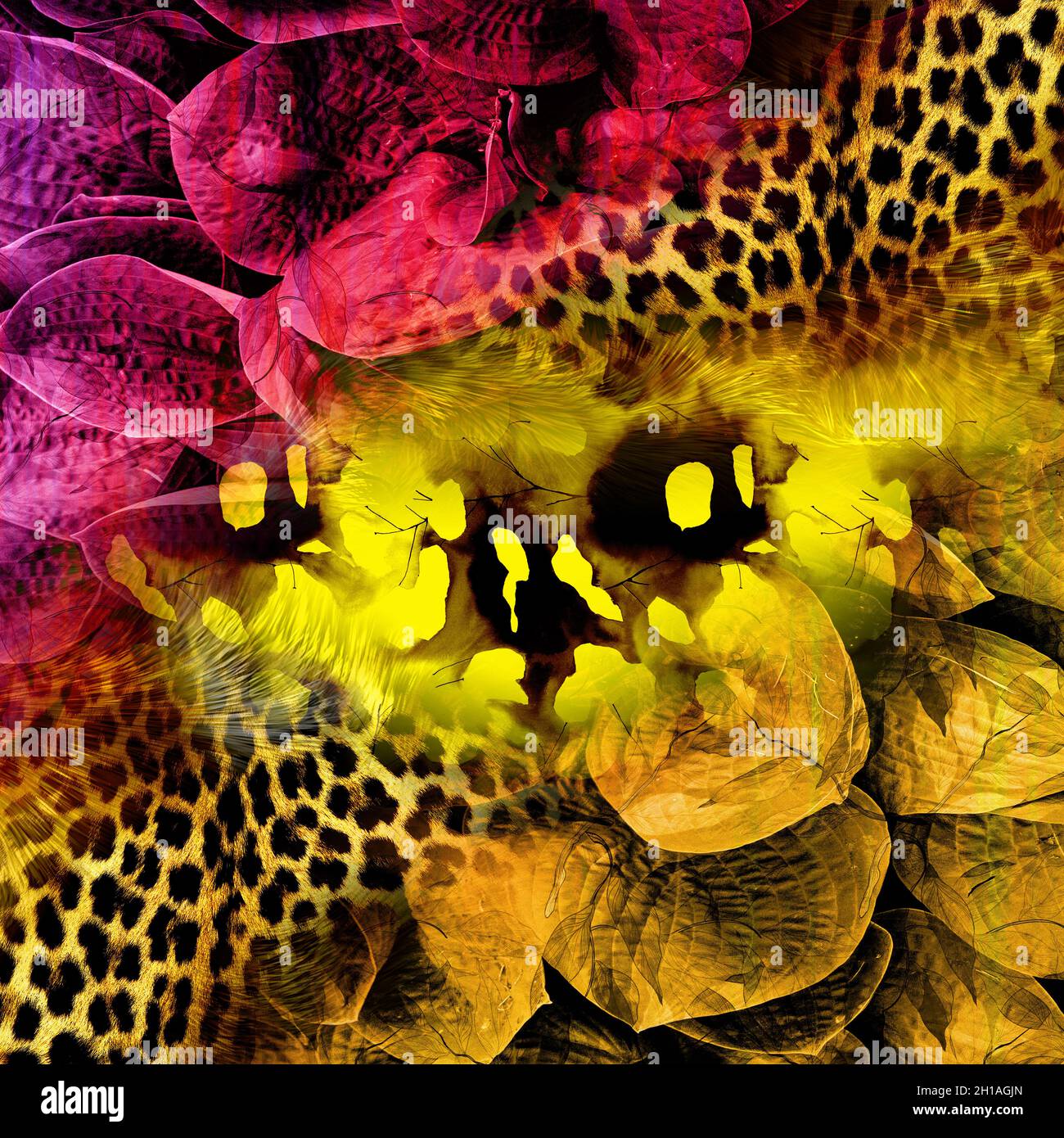 abstract beautiful colorful combination pattern Stock Photo - Alamy