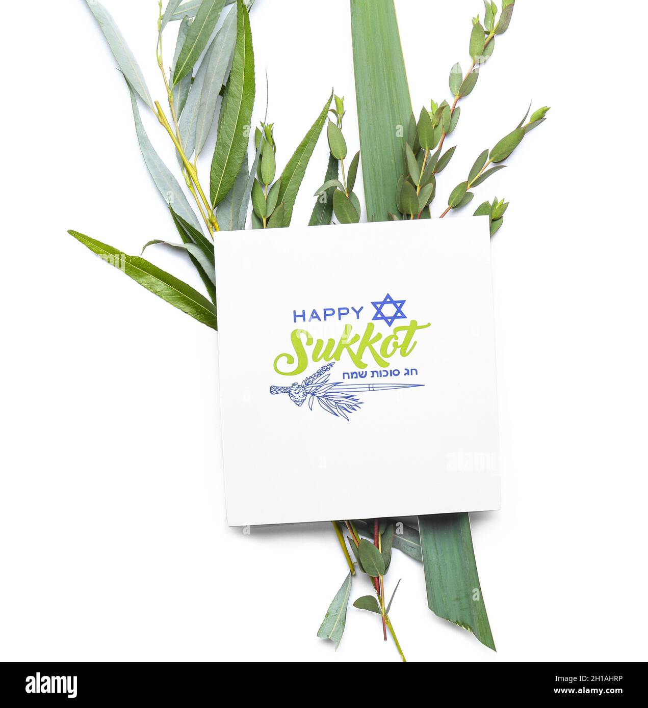 Sukkot festival symbols and greeting card on white background Stock ...