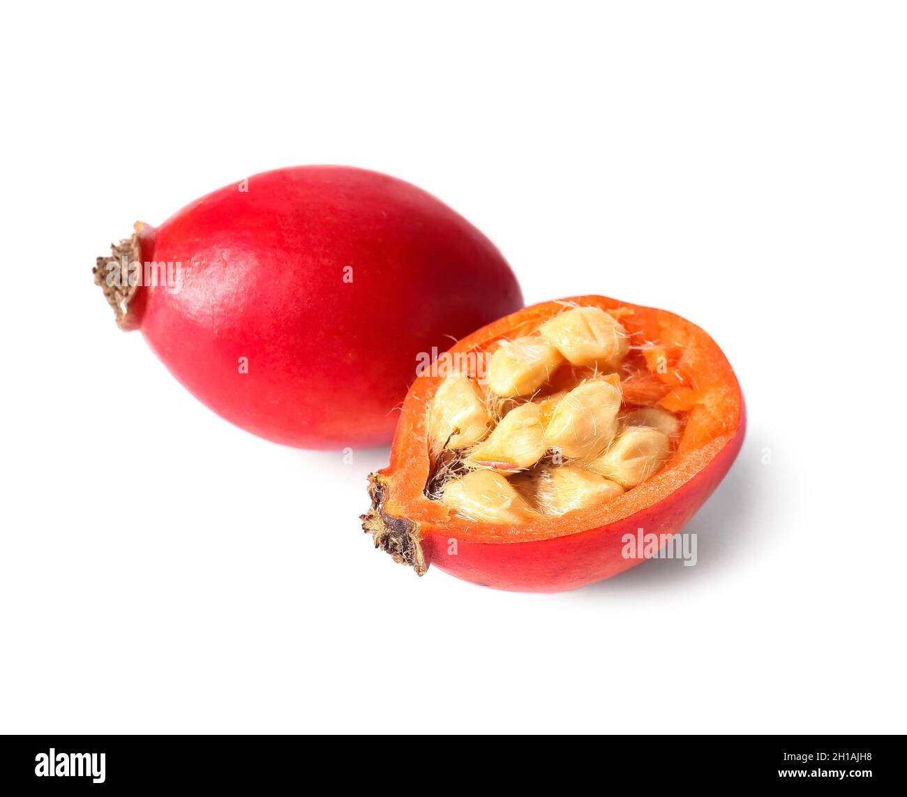 Rose hip berry on hi-res stock photography and images - Alamy
