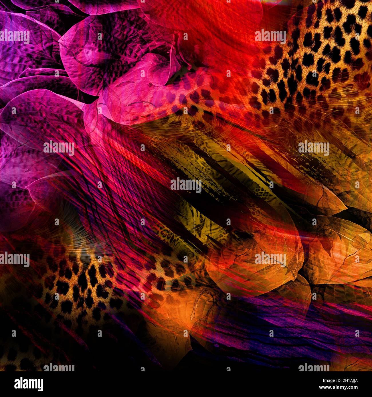 abstract beautiful colorful combination pattern Stock Photo - Alamy