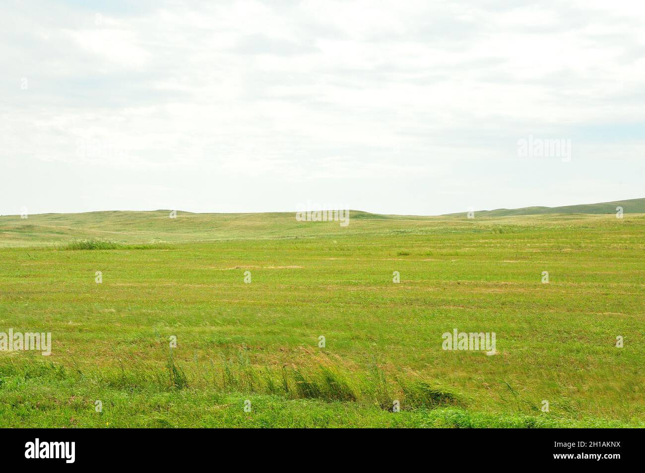 Grassy steppes hi-res stock photography and images - Alamy