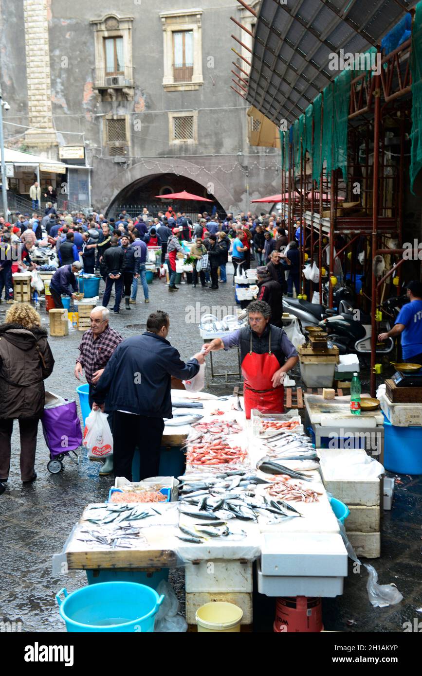 The colorful morning fish market in Catania, Italy Stock Photo - Alamy