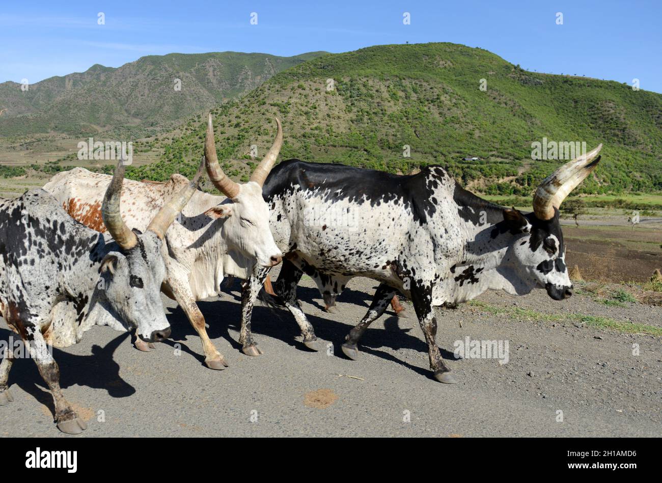 Picturesque landscapes along the road between Dessie and Weldiya in ...
