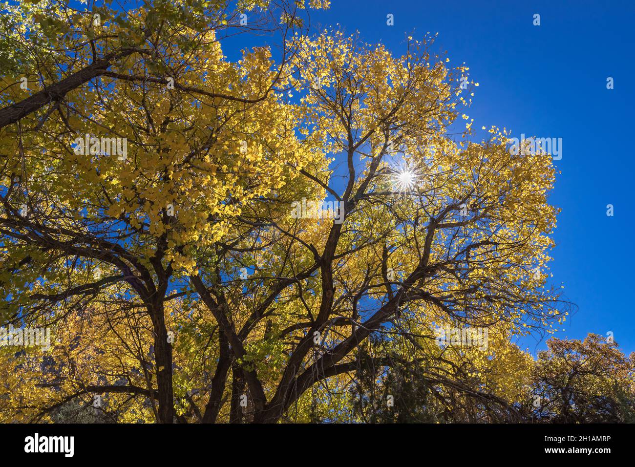 Desert moab hi-res stock photography and images - Alamy