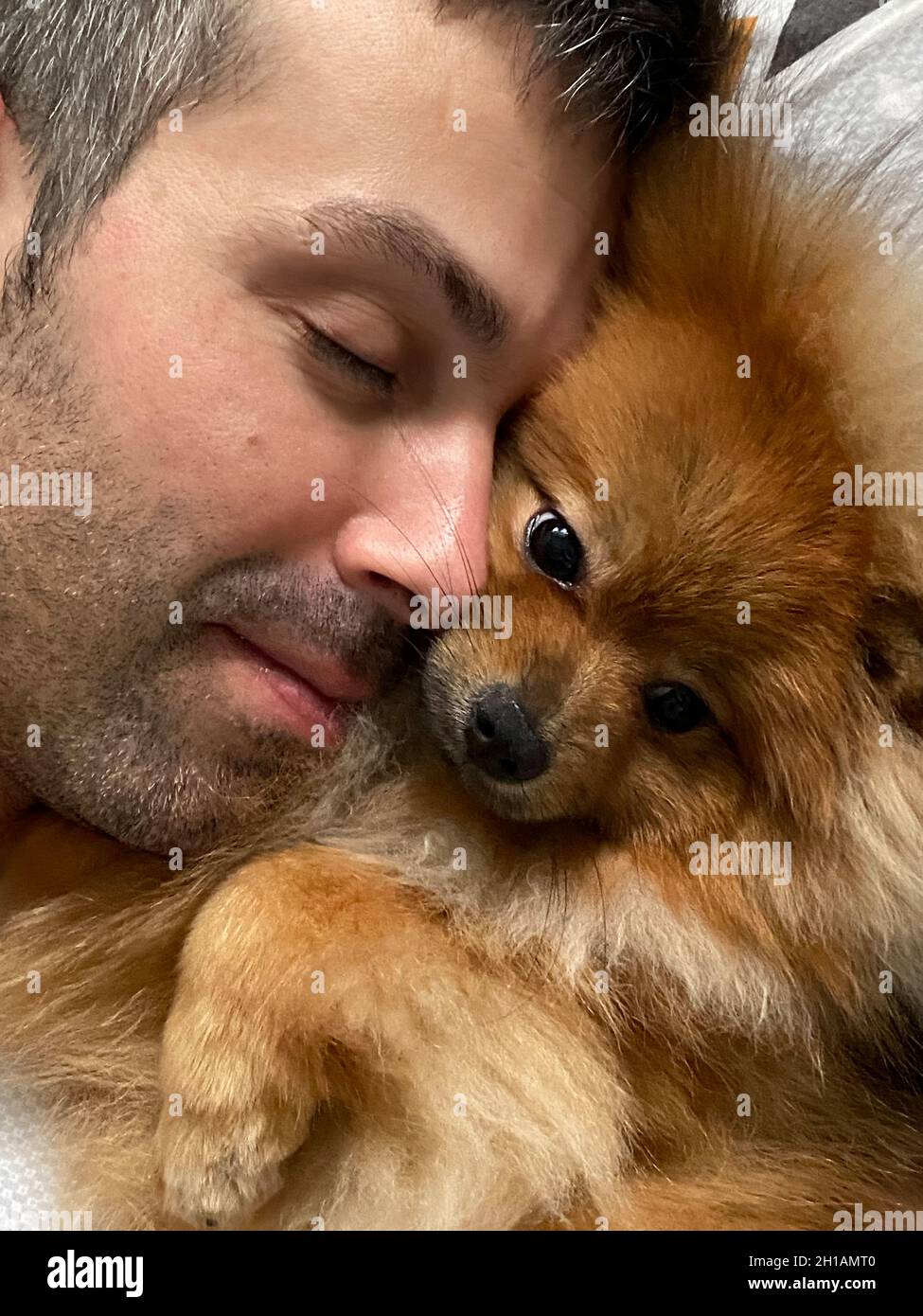 portrait of a man with a dog Stock Photo - Alamy