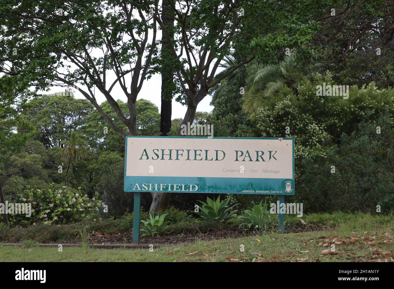 Ashfield sydney hi-res stock photography and images - Alamy