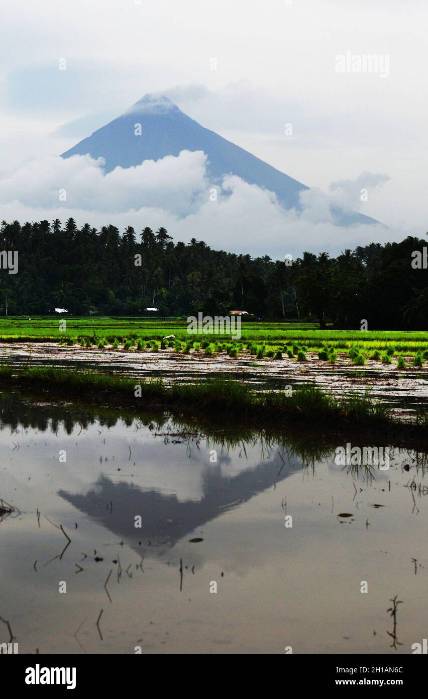 The Mayon volcano covered with a beautiful cloud Stock Photo - Alamy