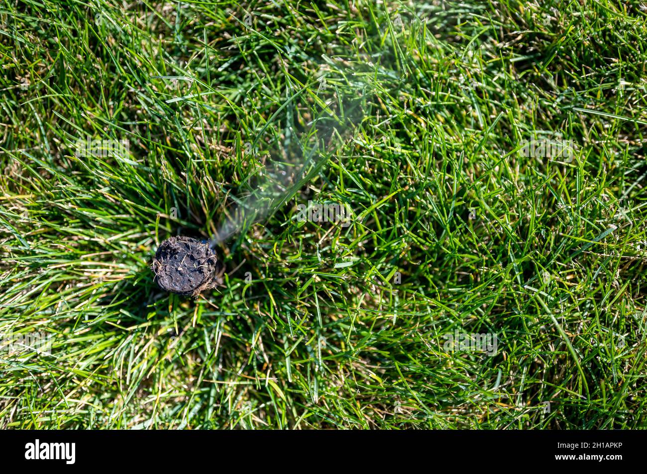 Pressurized irrigation system hi-res stock photography and images - Alamy