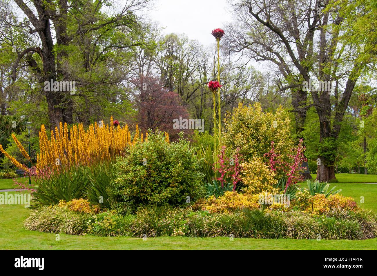 Spring blooms in the Fitzroy Gardens, Melbourne, Australia Stock Photo ...