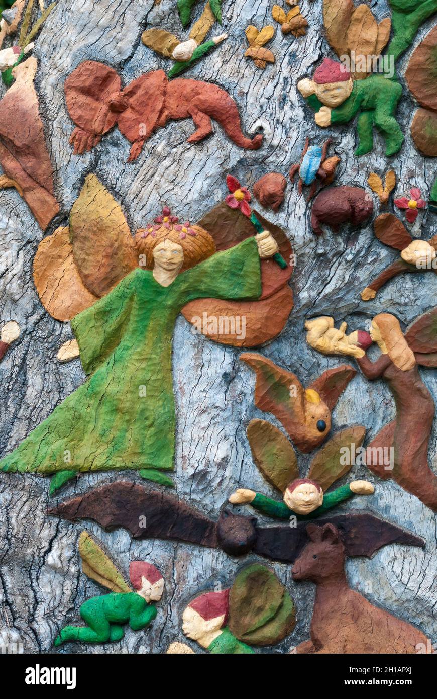Ola Cohn's Fairies Tree carved on the trunk of a dead red gum between ...